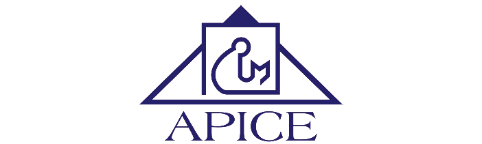 Structuralia - Becas APICE